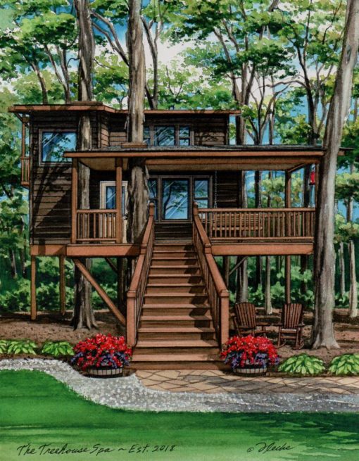 News | Treehouse Spa